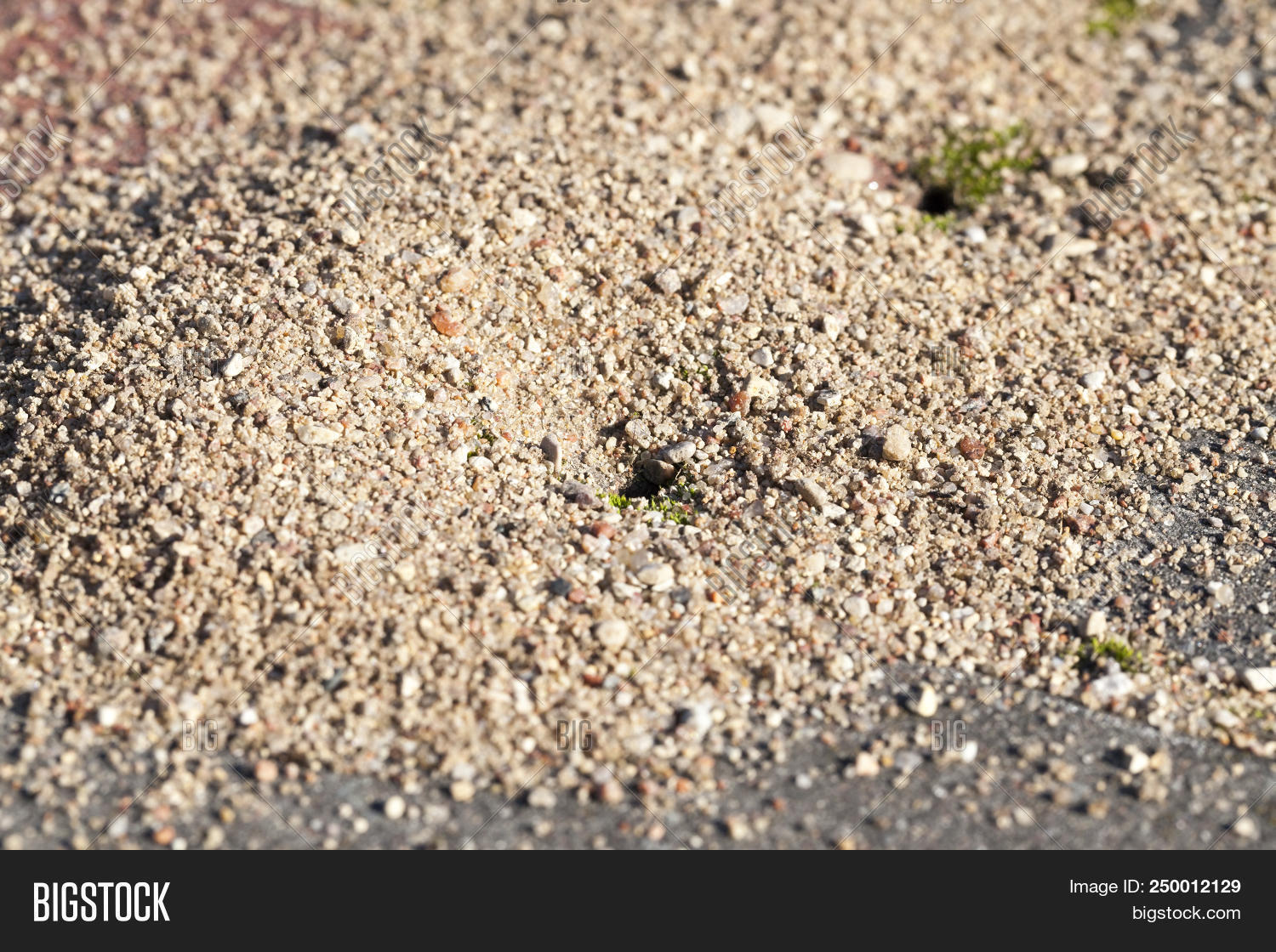 Small Anthill Image & Photo (Free Trial) | Bigstock