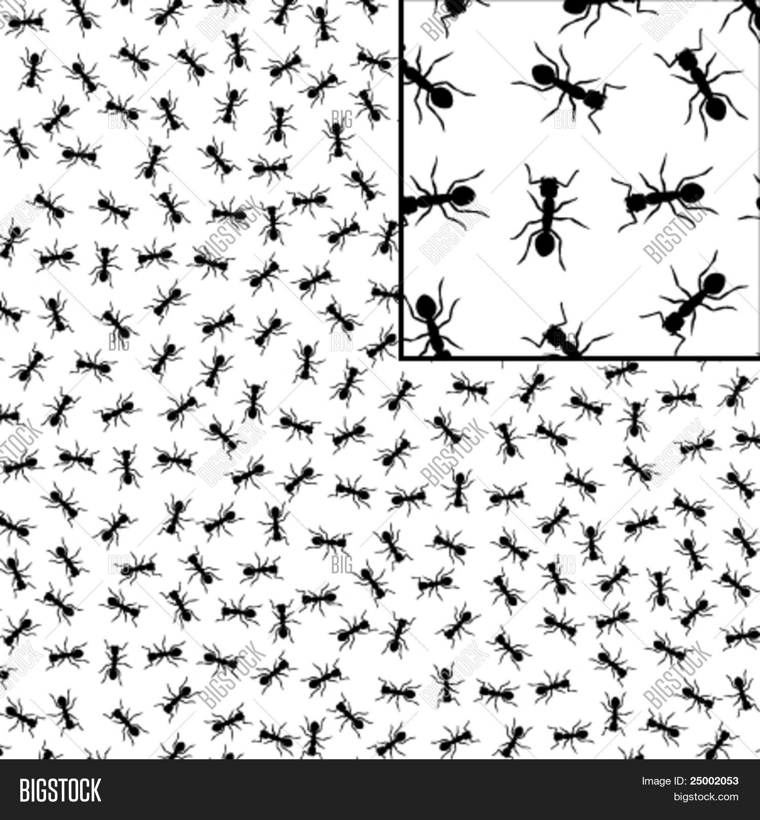 Vector Ants - Texture Vector & Photo (Free Trial) | Bigstock