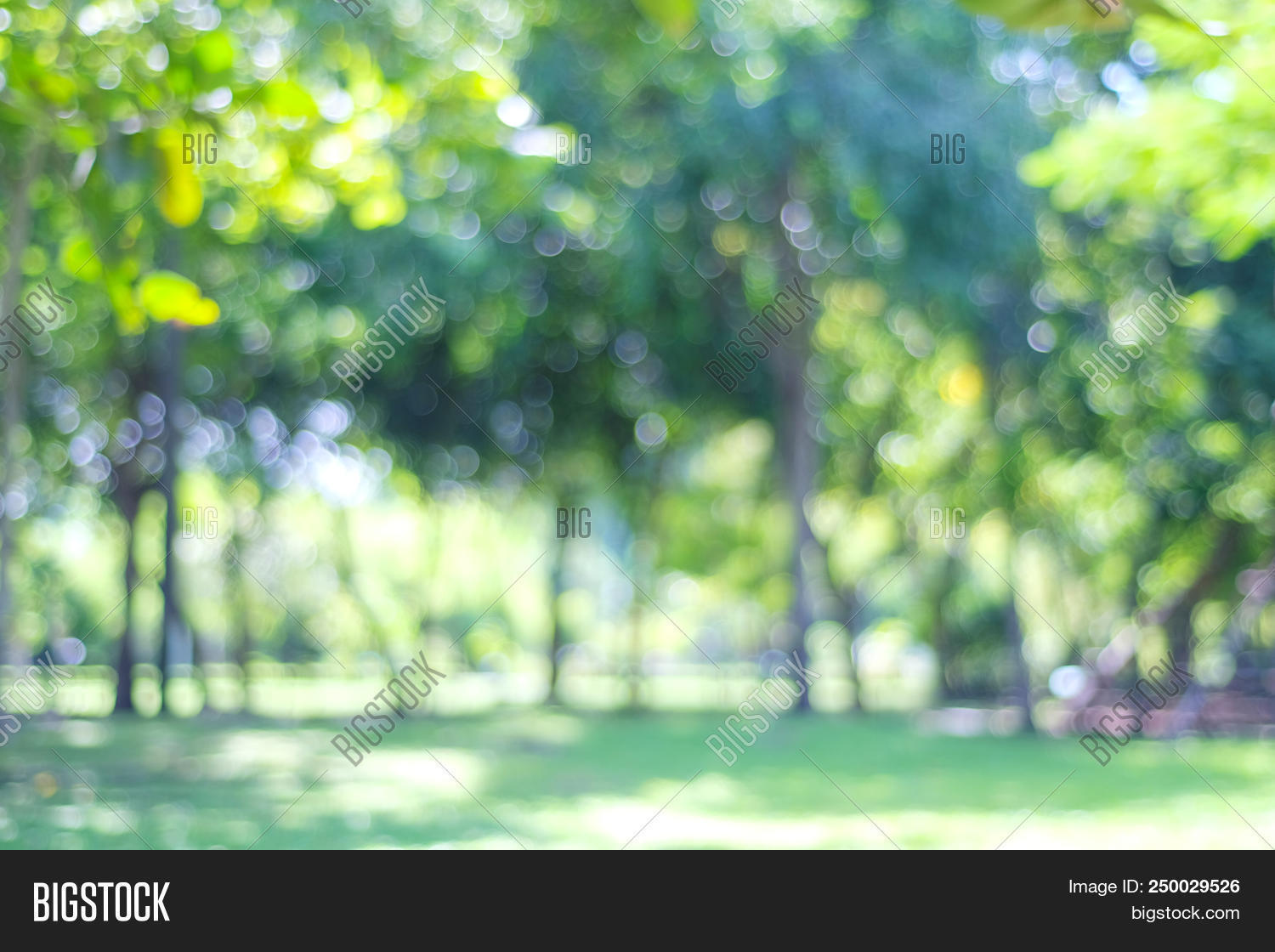 Blurred Spring Nature Image & Photo (Free Trial) | Bigstock
