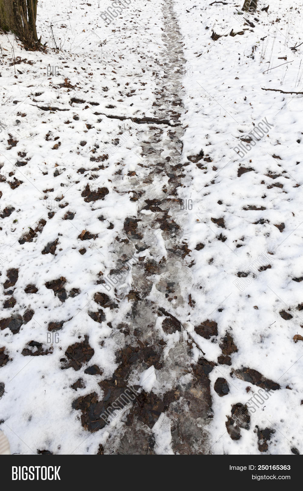 Trampled On Snow Path Image & Photo (Free Trial) | Bigstock