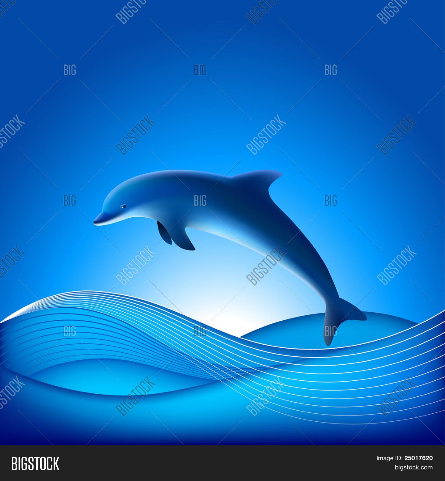 Vector Dolphin. File Vector & Photo (Free Trial) | Bigstock
