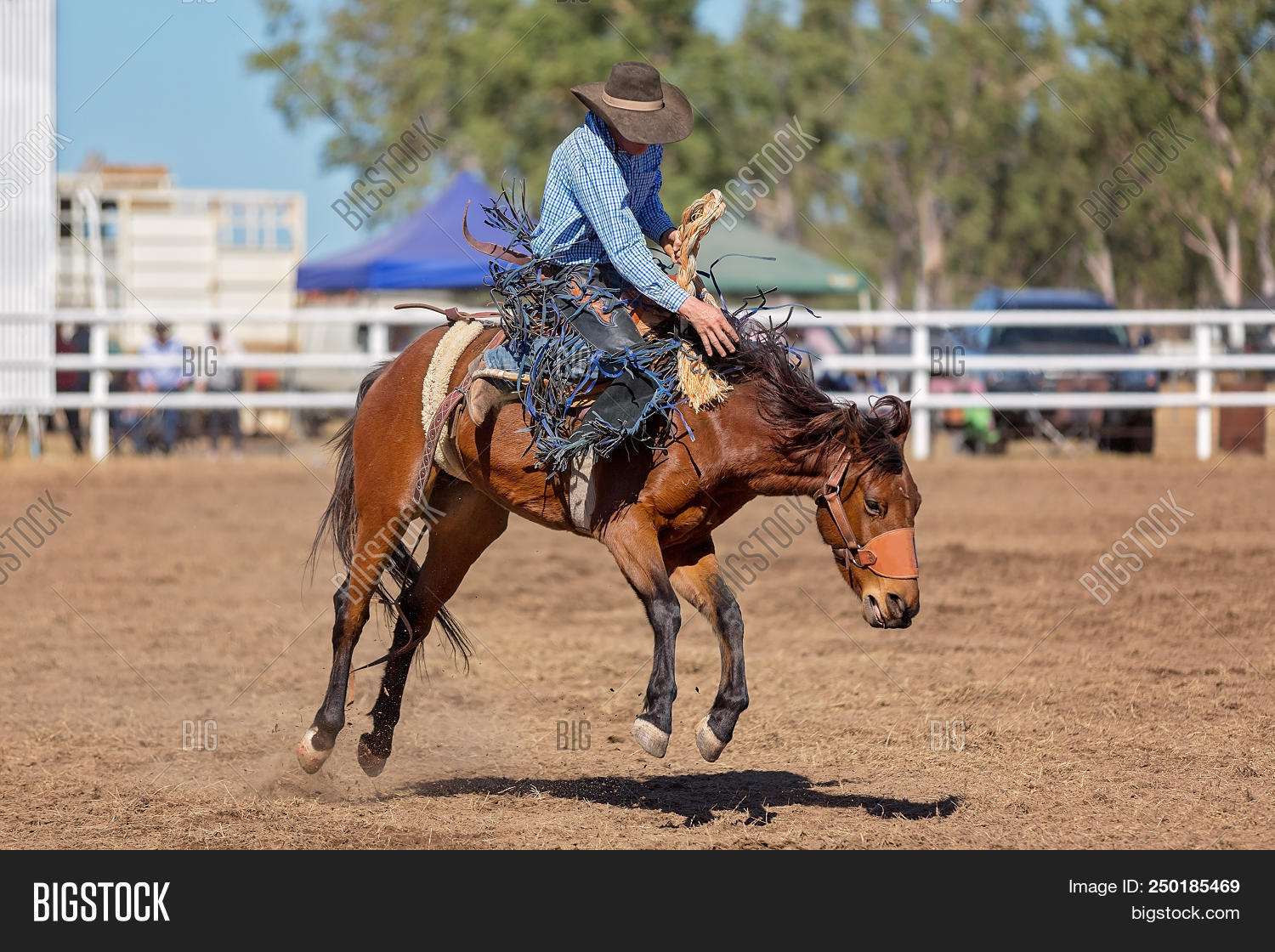 Cowboy Riding Bucking Image & Photo (Free Trial) | Bigstock