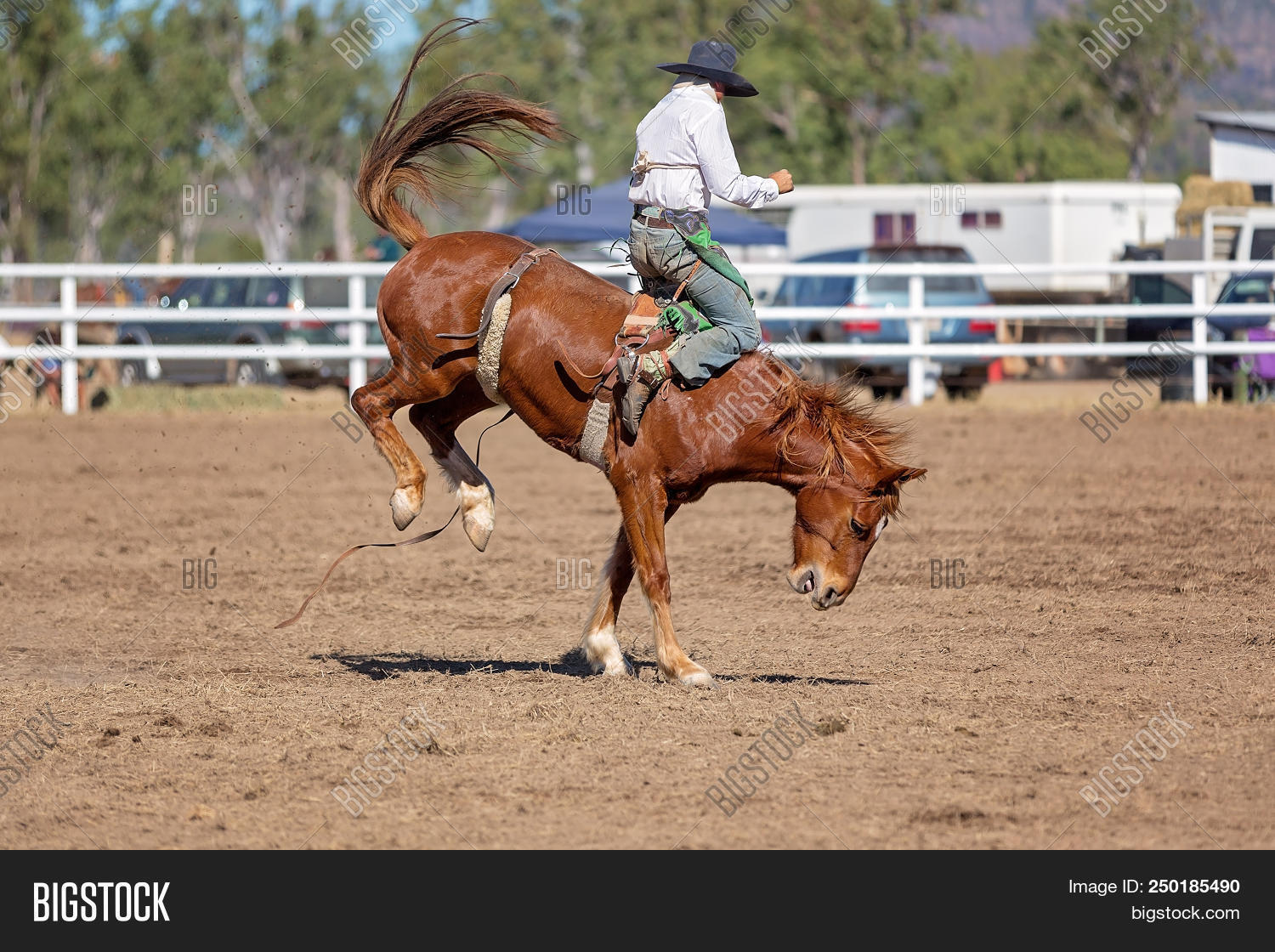 Cowboy Riding Bucking Image & Photo (Free Trial) | Bigstock