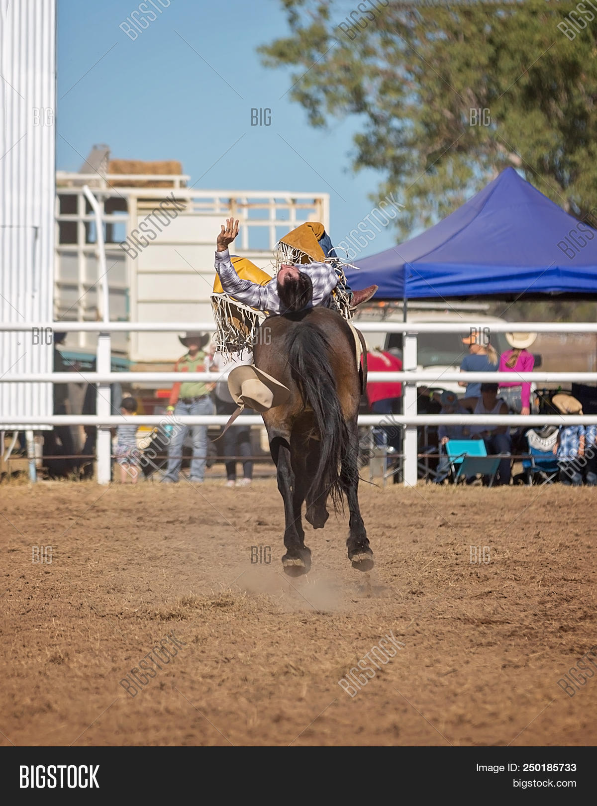 Cowboy Riding Bucking Image & Photo (Free Trial) | Bigstock