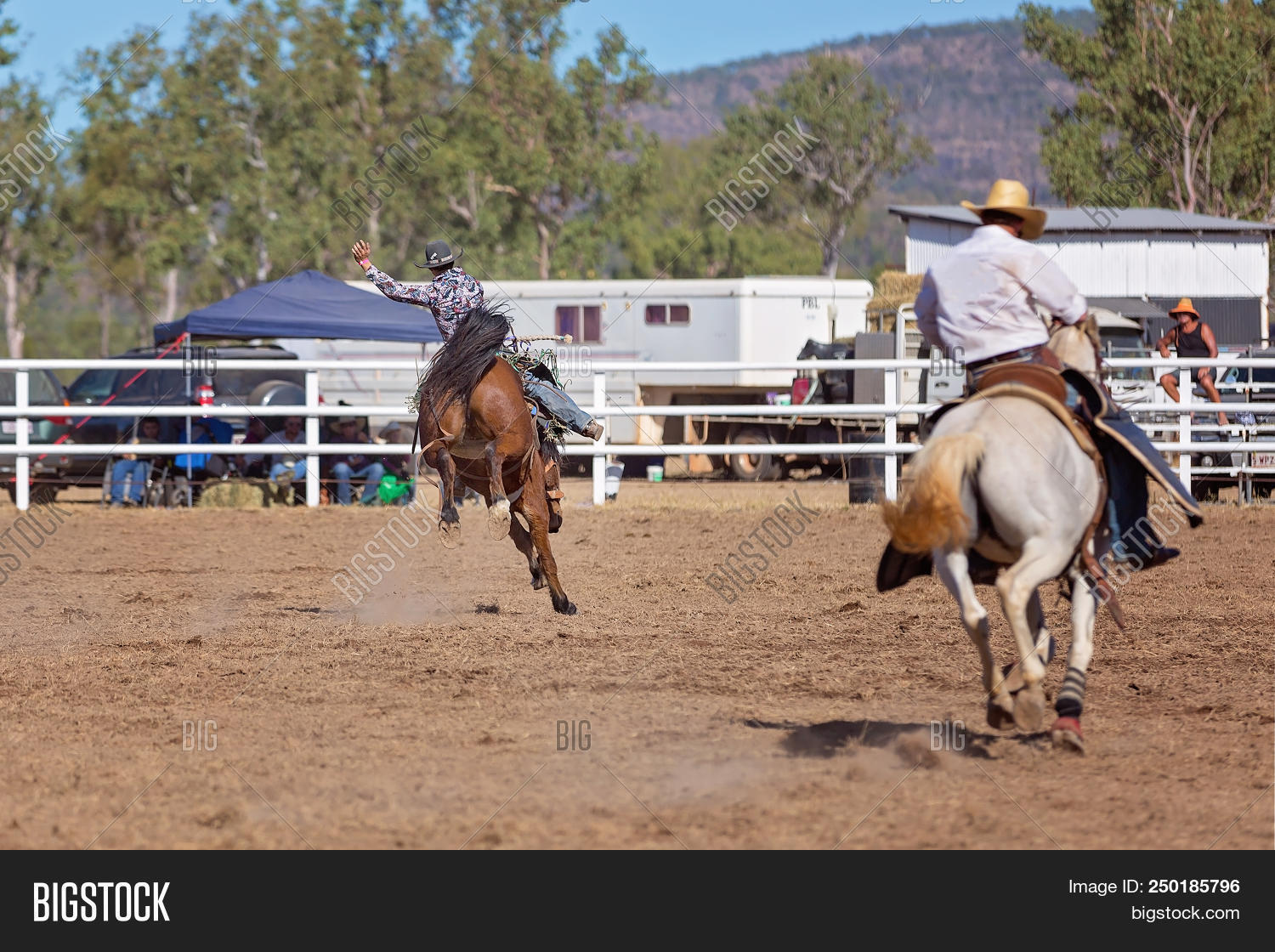 Cowboy Riding Bucking Image & Photo (Free Trial) | Bigstock