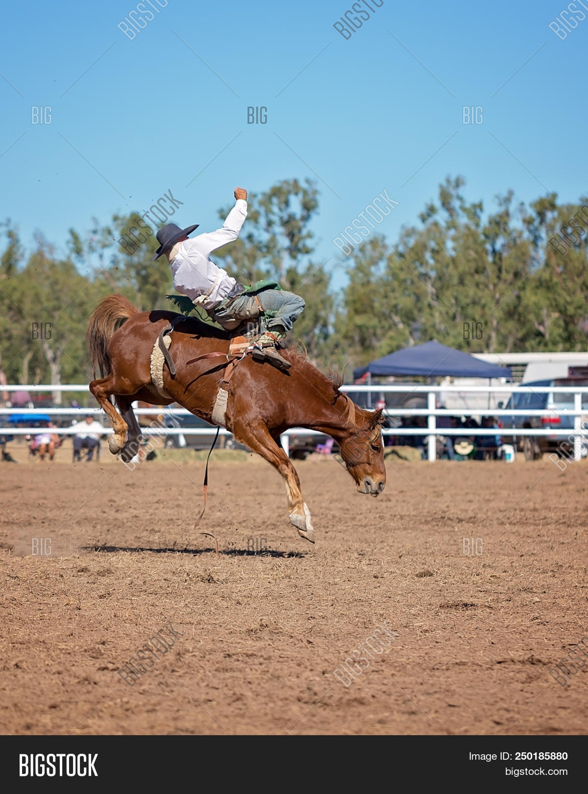 Cowboy Riding Bucking Image & Photo (Free Trial) | Bigstock