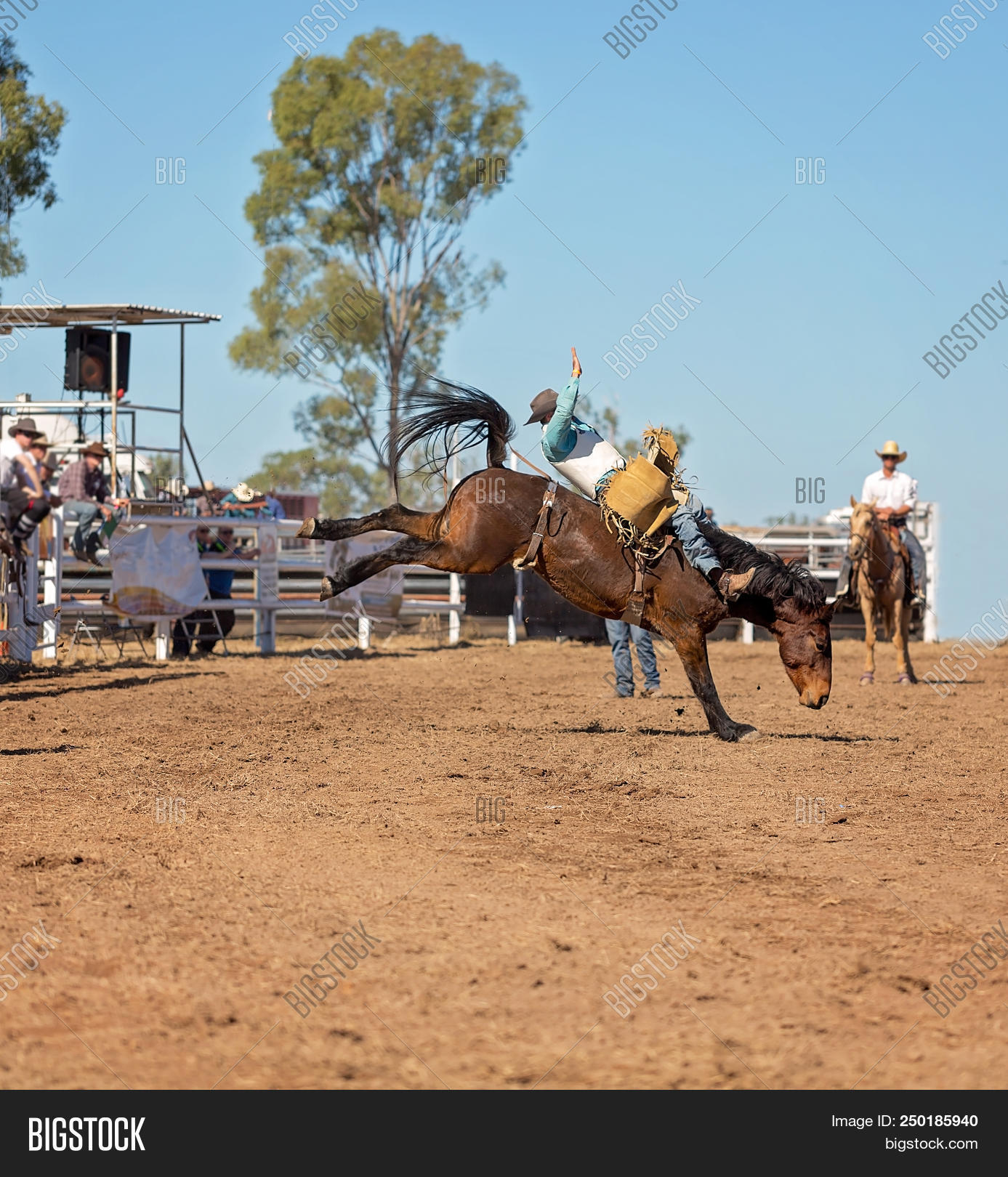 Cowboy Riding Bucking Image & Photo (Free Trial) | Bigstock