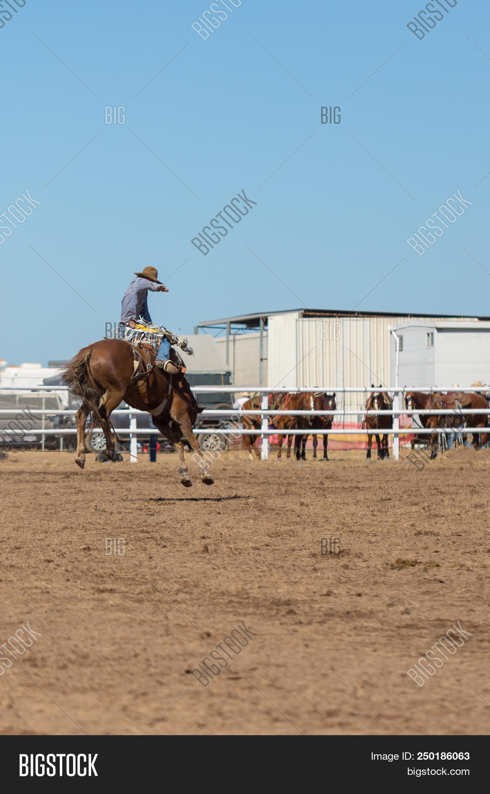 Cowboy Riding Bucking Image & Photo (Free Trial) | Bigstock