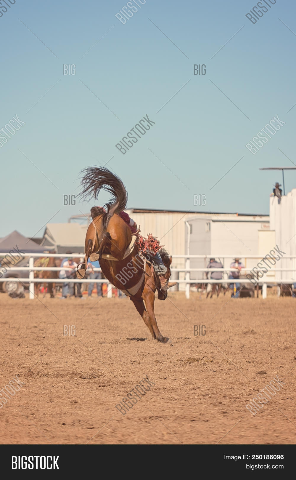 Cowboy Riding Bucking Image & Photo (Free Trial) | Bigstock