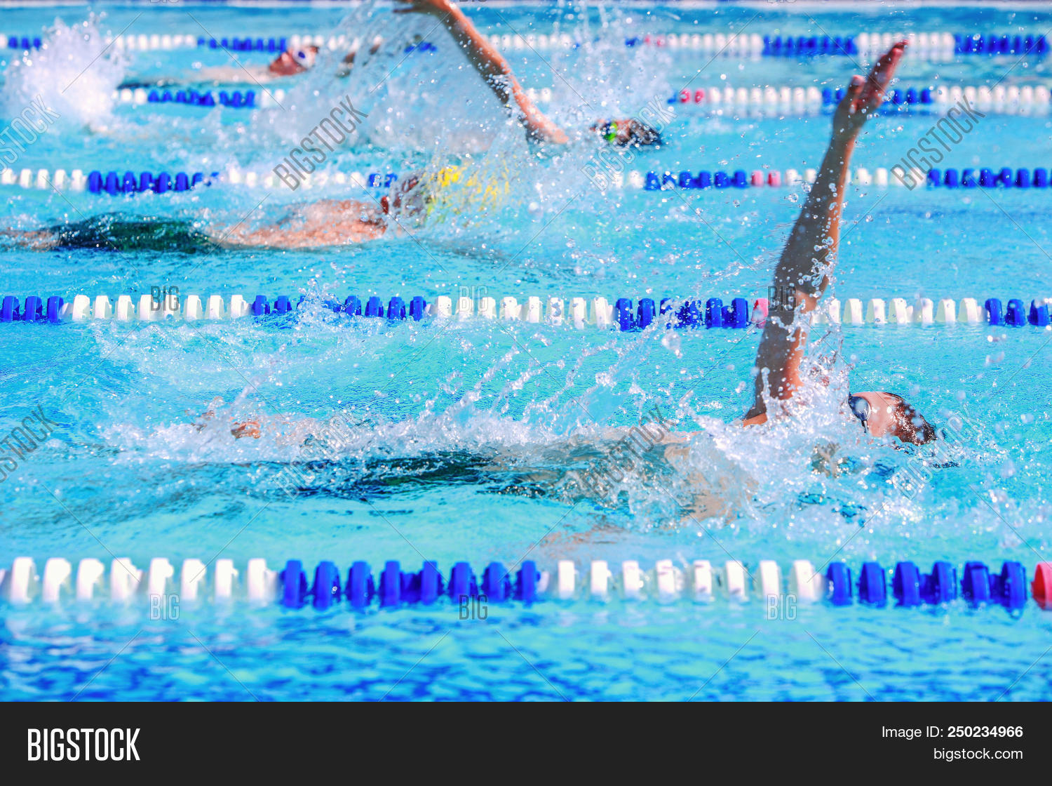 Backstroke Swimmers Image & Photo (Free Trial) | Bigstock