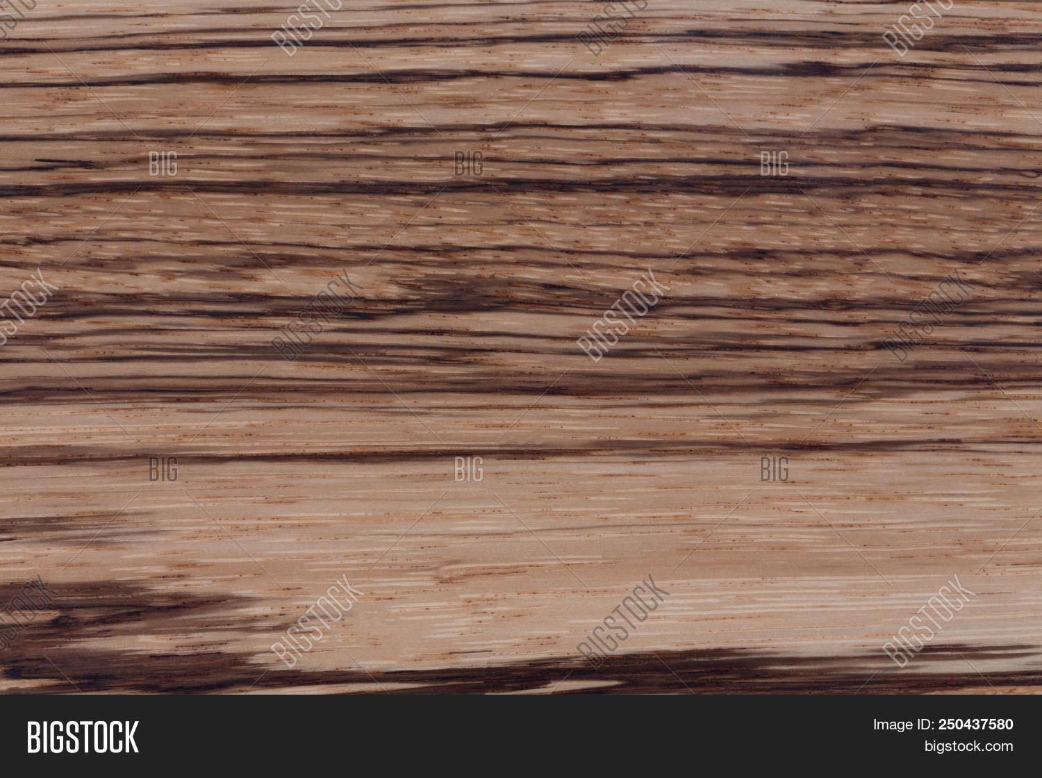 Texture Zebrano Wood Image & Photo (Free Trial) | Bigstock
