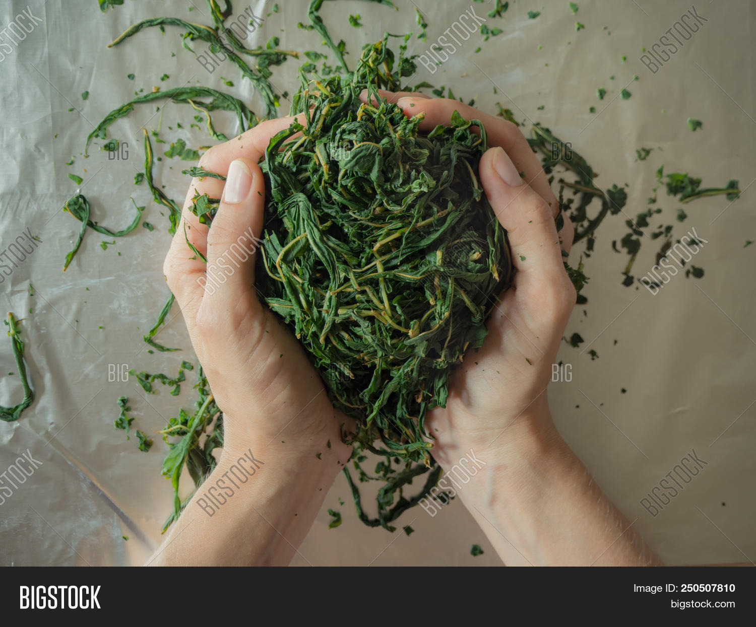 Fermentation Process Image & Photo (Free Trial) | Bigstock