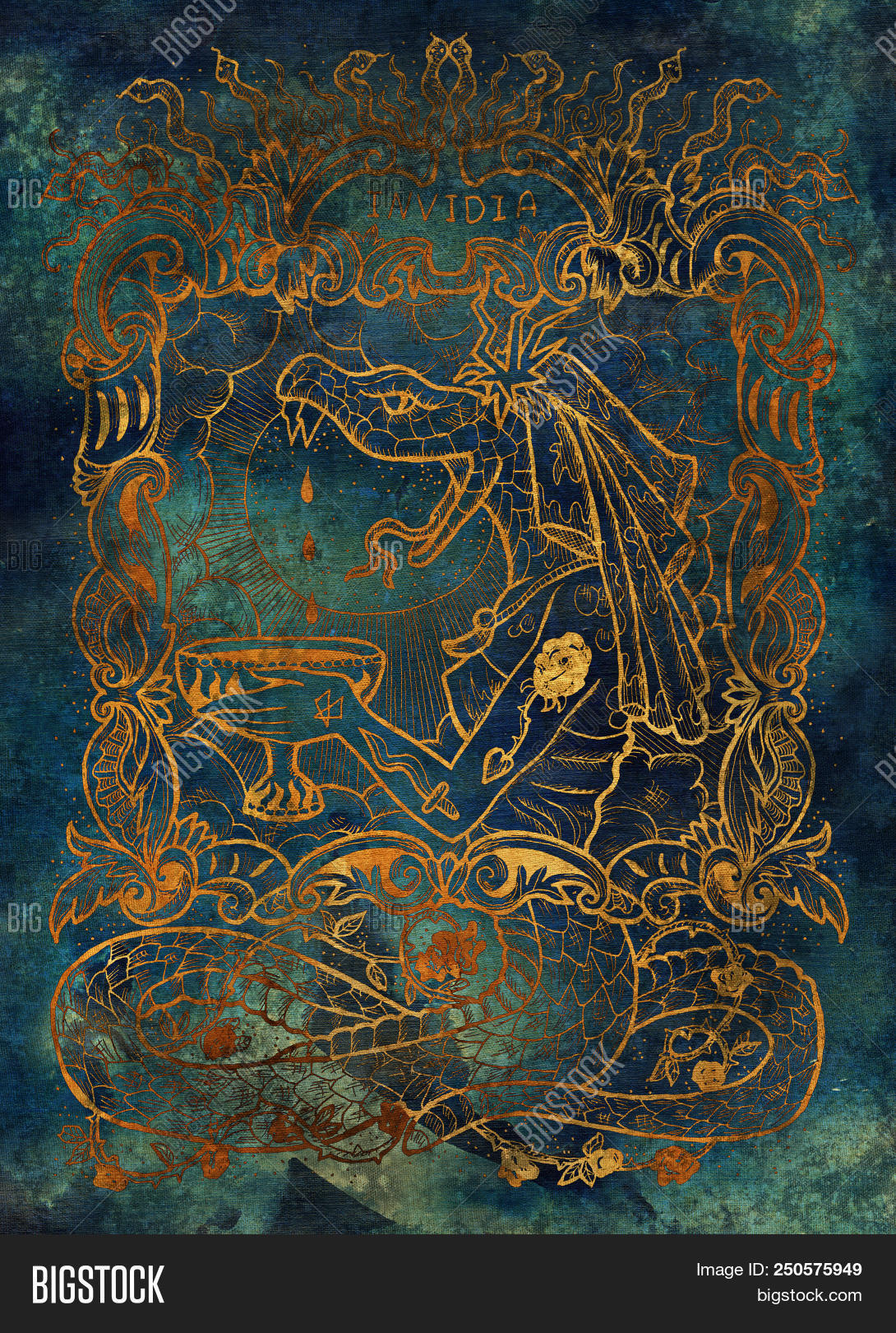 Envy. Latin Word Image & Photo (Free Trial) | Bigstock