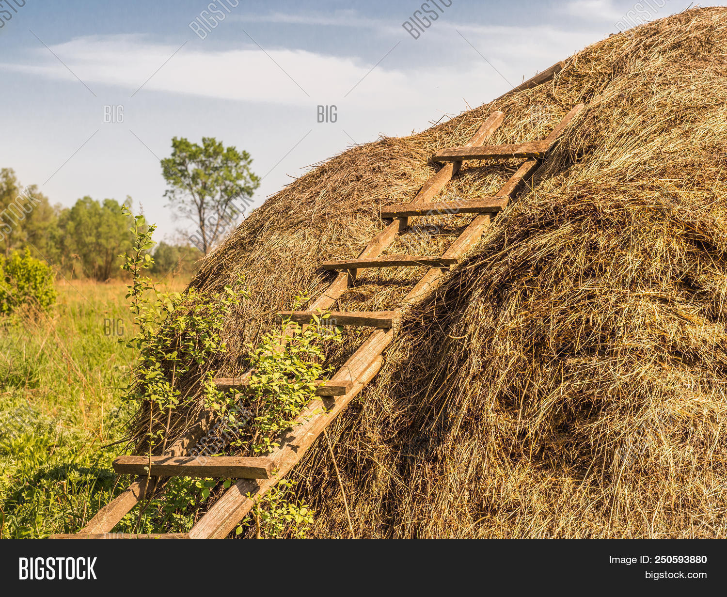 Hayrick Village Farm Image & Photo (Free Trial) | Bigstock