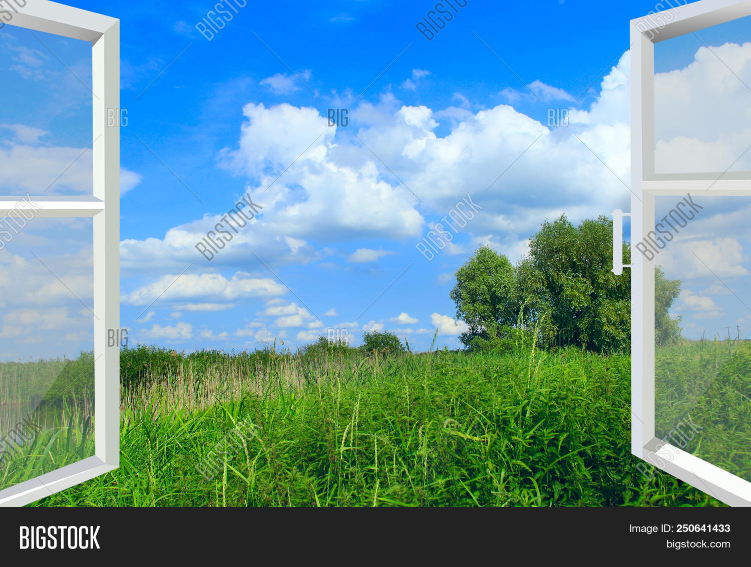 Opened Window Summer Image & Photo (Free Trial) | Bigstock