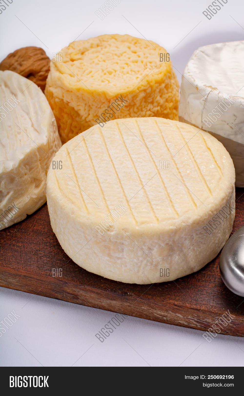 French Aoc Soft Cow Image & Photo (Free Trial) | Bigstock