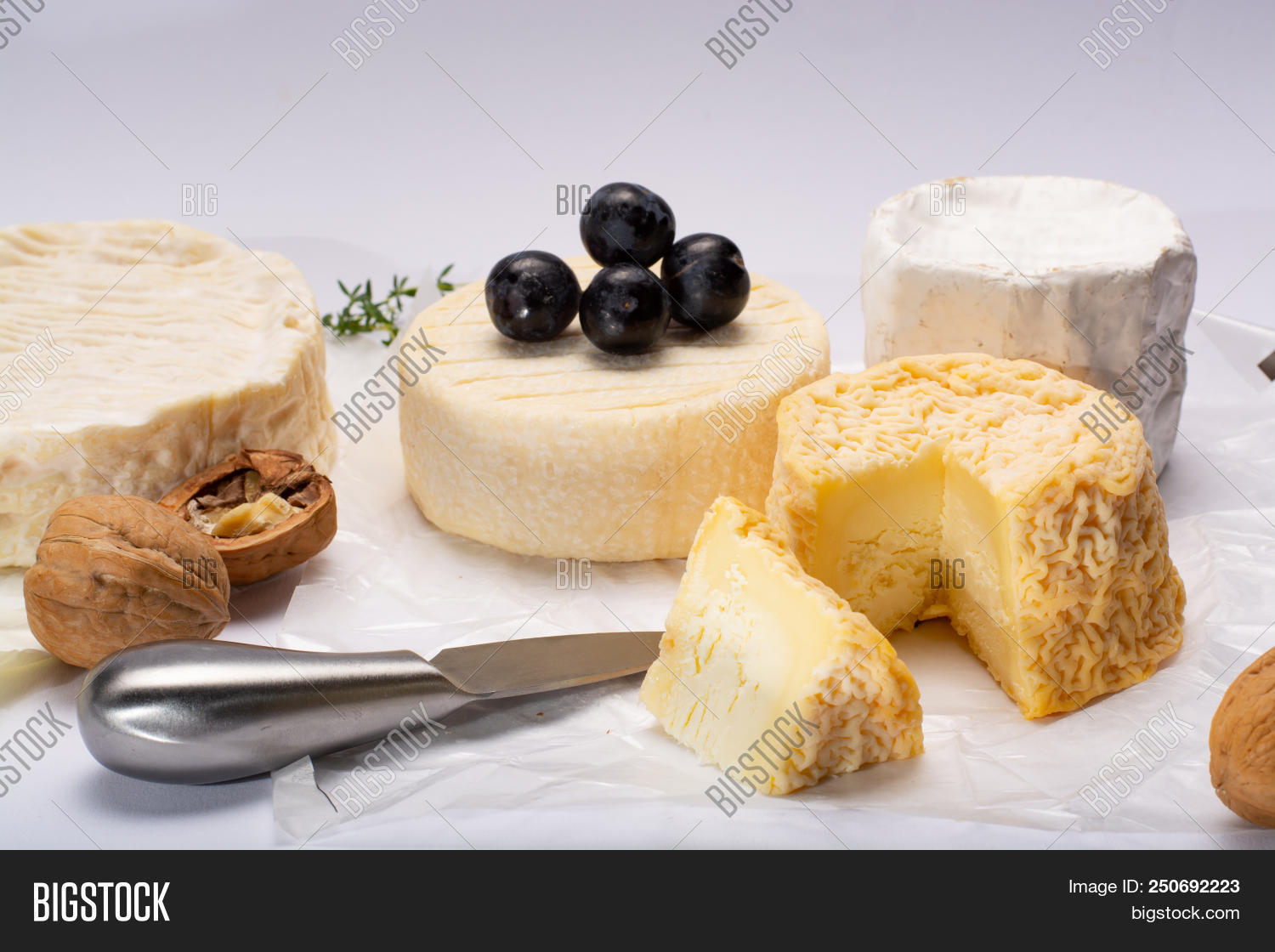 French Aoc Soft Cow Image & Photo (Free Trial) | Bigstock