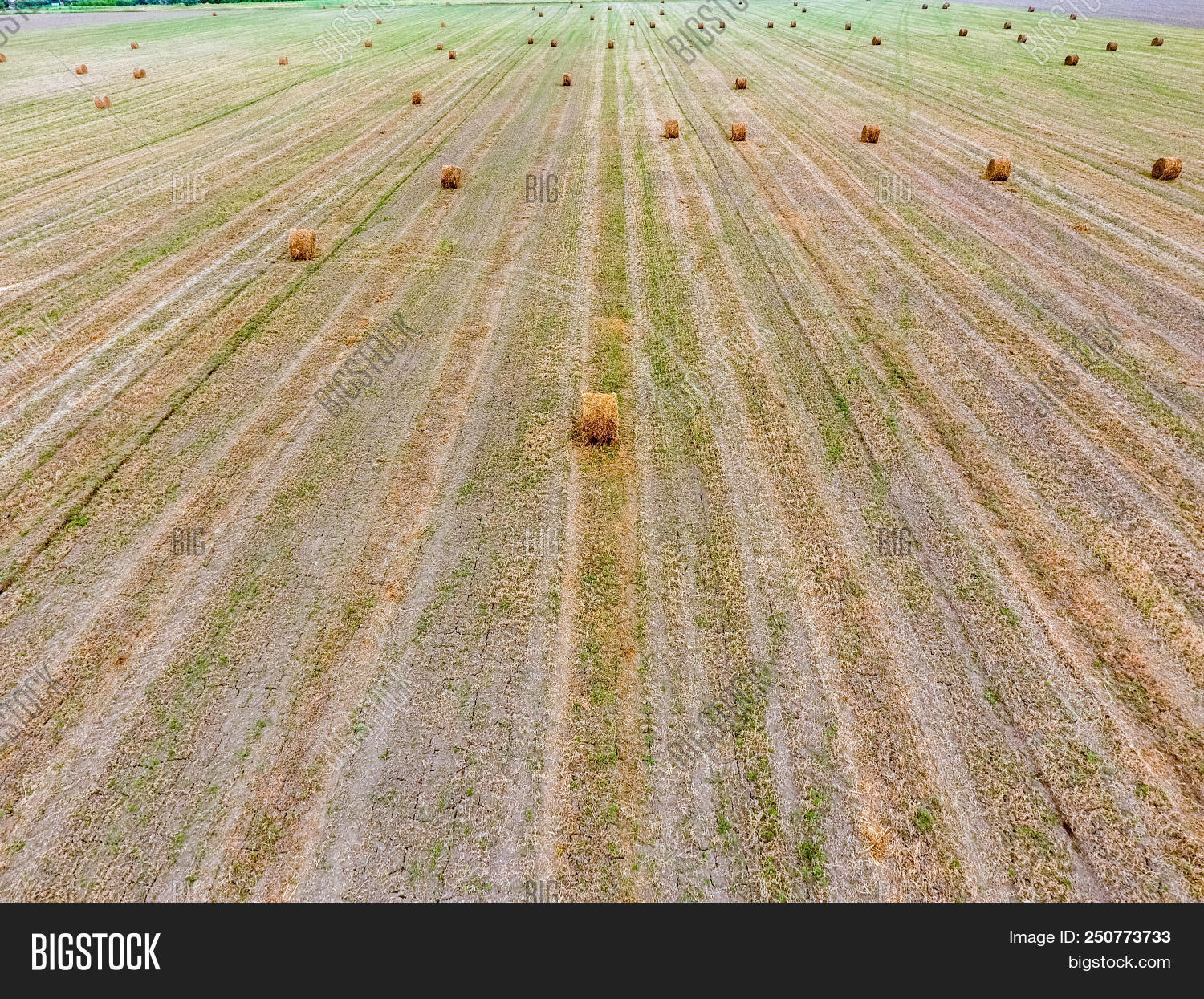 Bales Hay Field. Image & Photo (Free Trial) | Bigstock