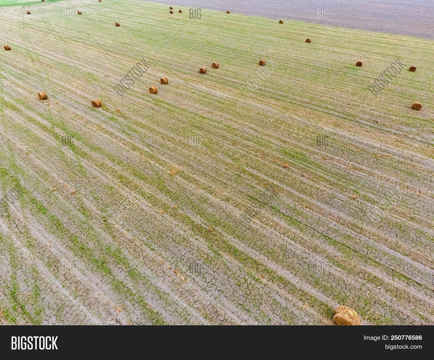 Bales Hay Field. Image & Photo (Free Trial) | Bigstock