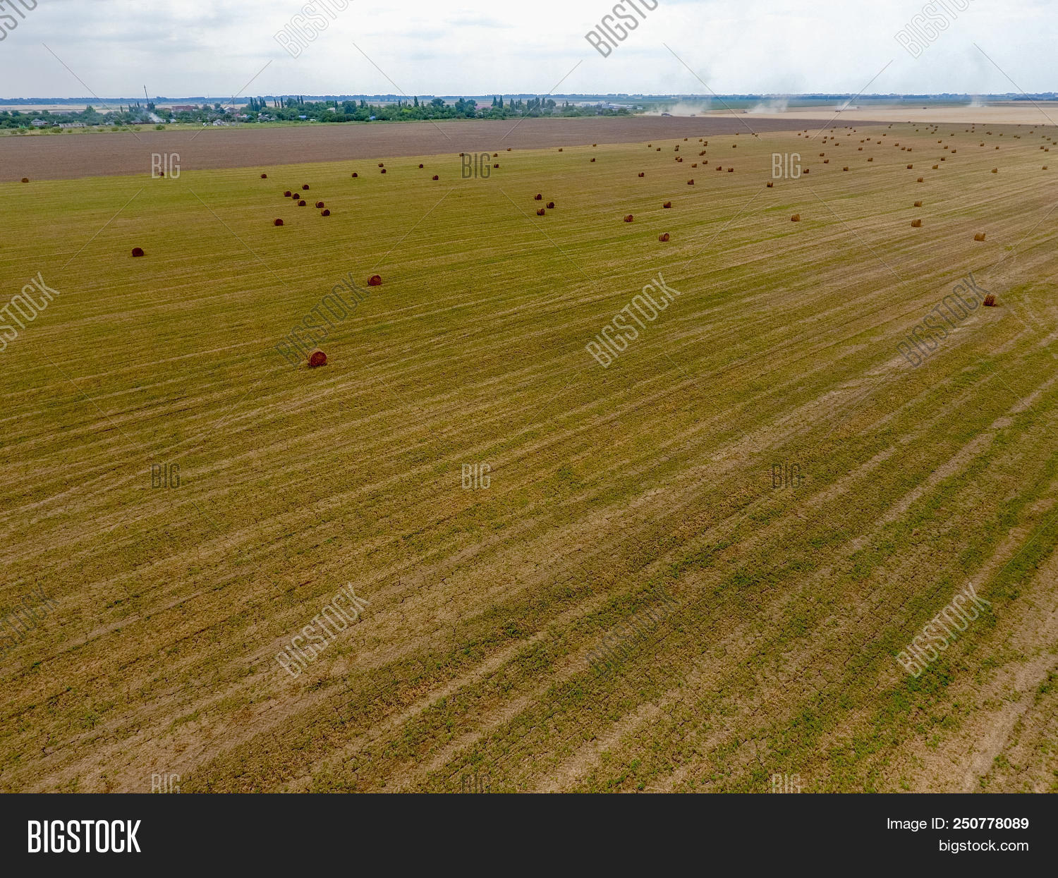 Bales Hay Field. Image & Photo (Free Trial) | Bigstock