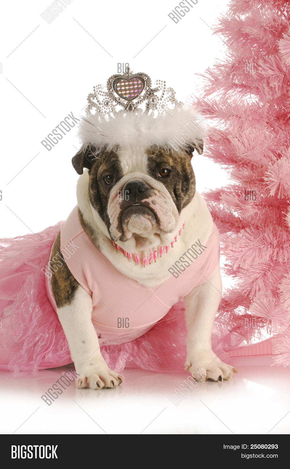 Christmas Princess - Image & Photo (Free Trial) | Bigstock