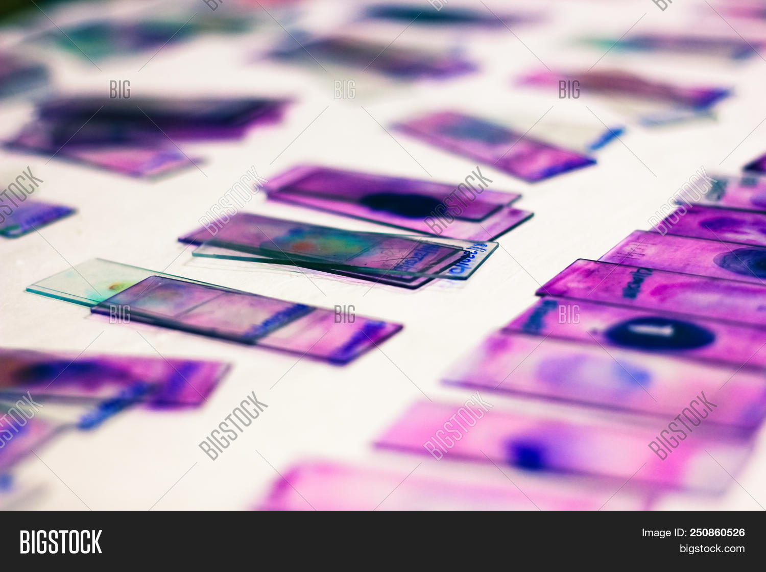 Stained Glass Slides Image & Photo (Free Trial) | Bigstock