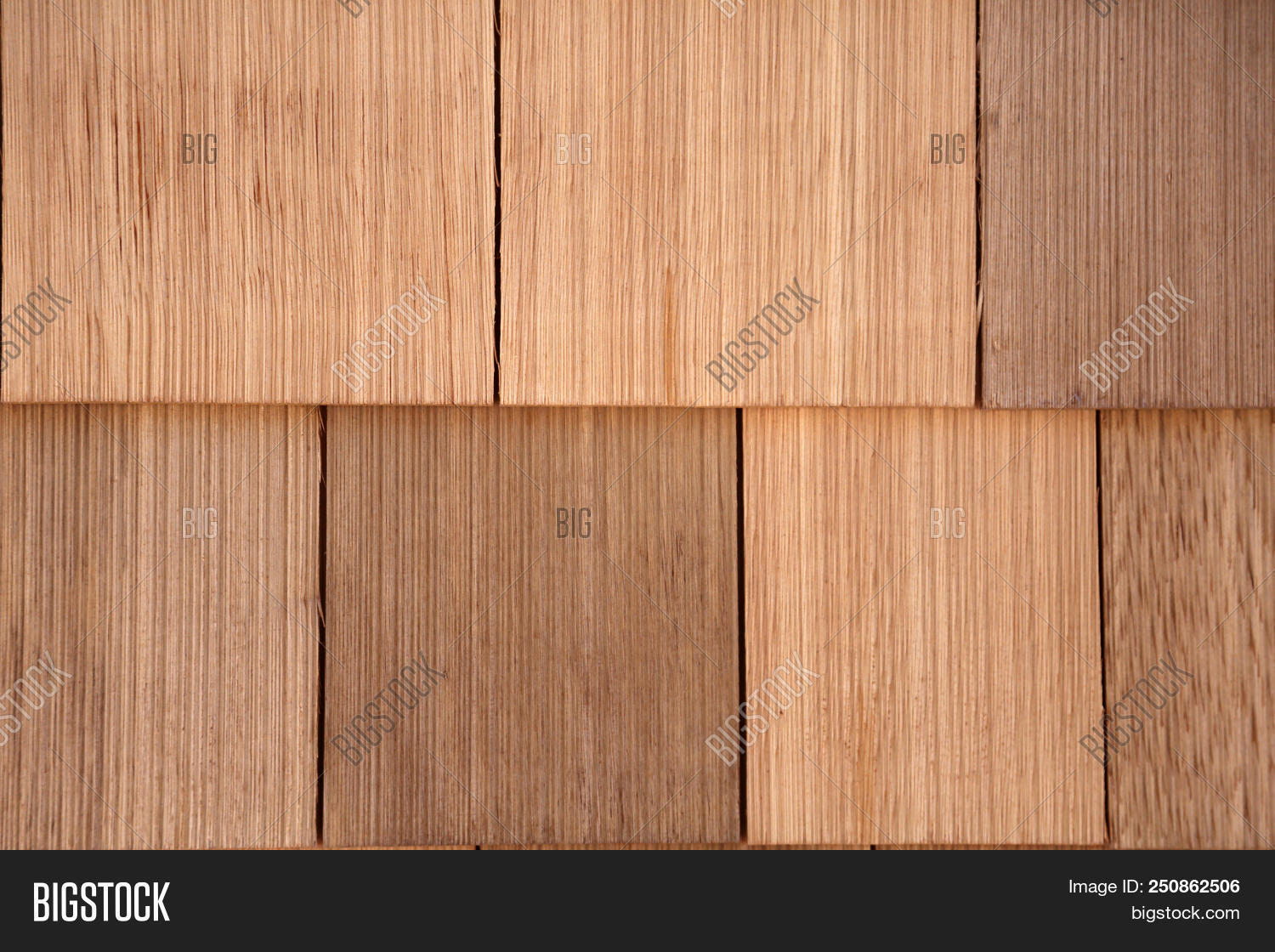 Cedar Shake. Cedar Image & Photo (Free Trial) | Bigstock