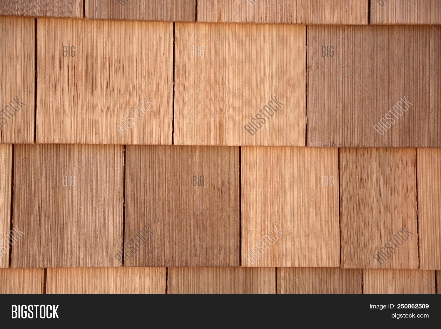 Cedar Shake. Cedar Image & Photo (Free Trial) | Bigstock