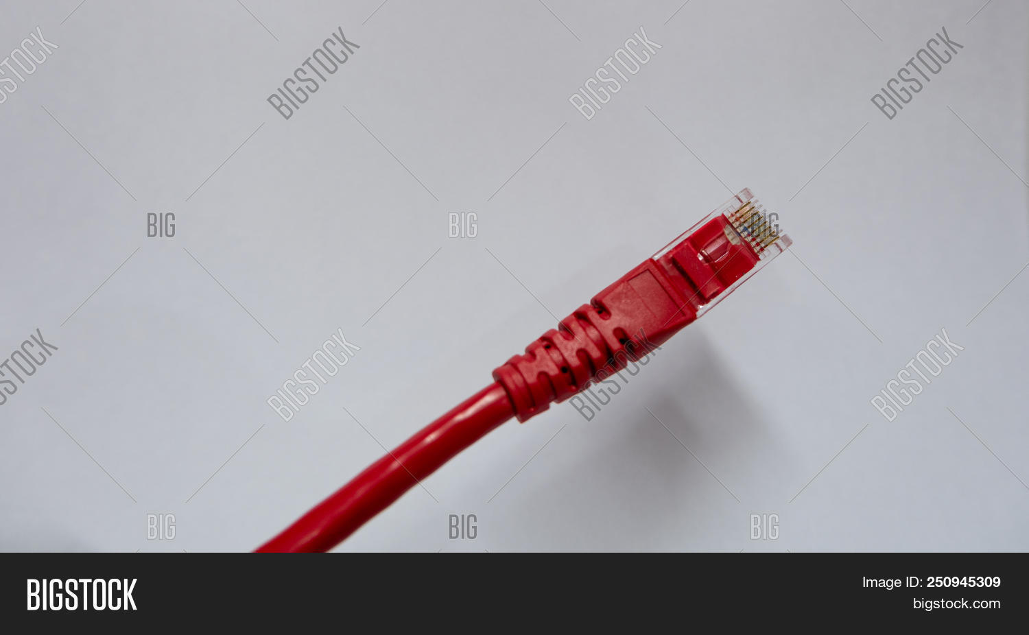 Utp Cable Unshielded Image & Photo (Free Trial) | Bigstock