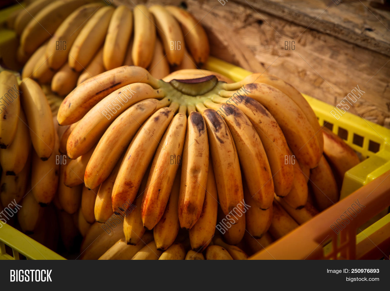 Small Bananas Box On Image & Photo (Free Trial) | Bigstock