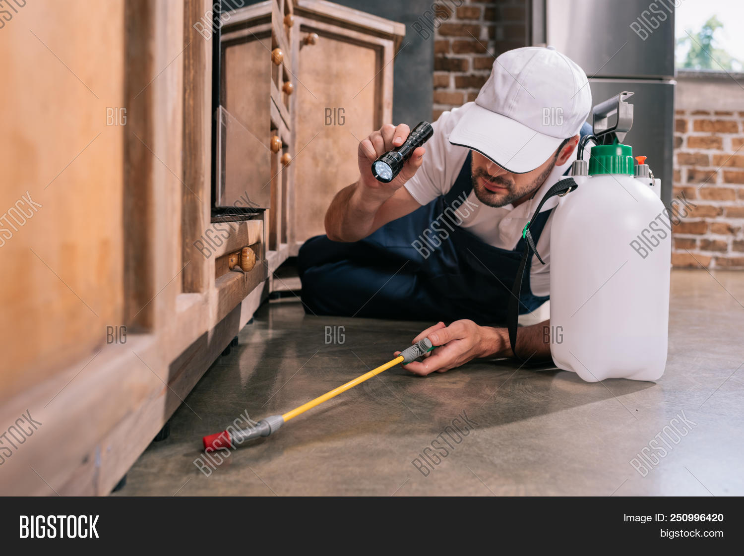 Pest Control Worker Image & Photo (Free Trial) | Bigstock