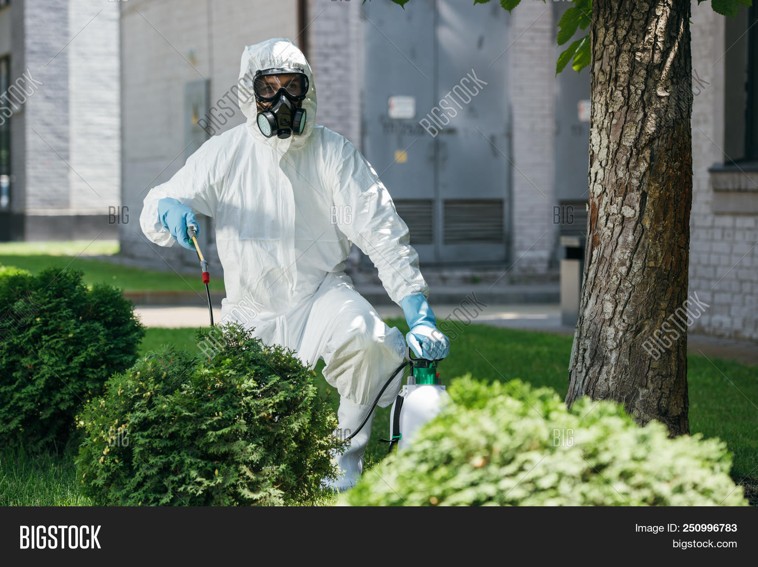 Pest Control Worker Image & Photo (Free Trial) | Bigstock