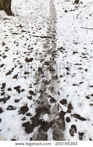 Trampled On Snow Path Image & Photo (Free Trial) | Bigstock