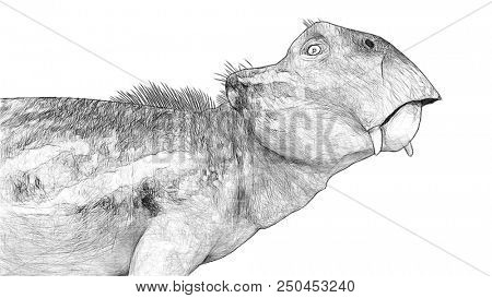Lystrosaurus Images, Illustrations & Vectors (Free) - Bigstock