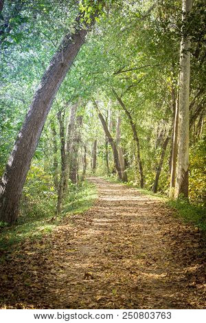 Gravel Walking Bike Image & Photo (Free Trial) | Bigstock