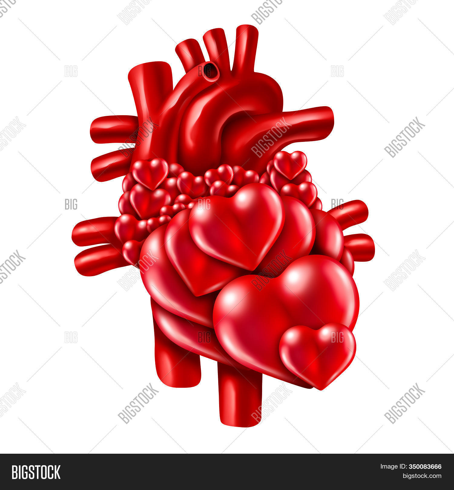 Love Human Heart Image & Photo (Free Trial) | Bigstock