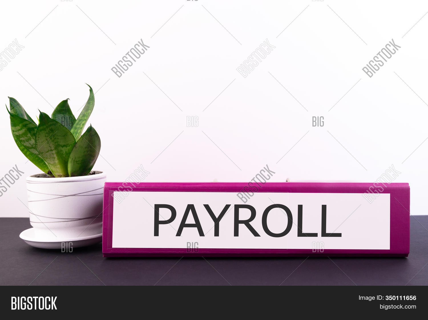 Payroll Office Folder Image & Photo (Free Trial) | Bigstock