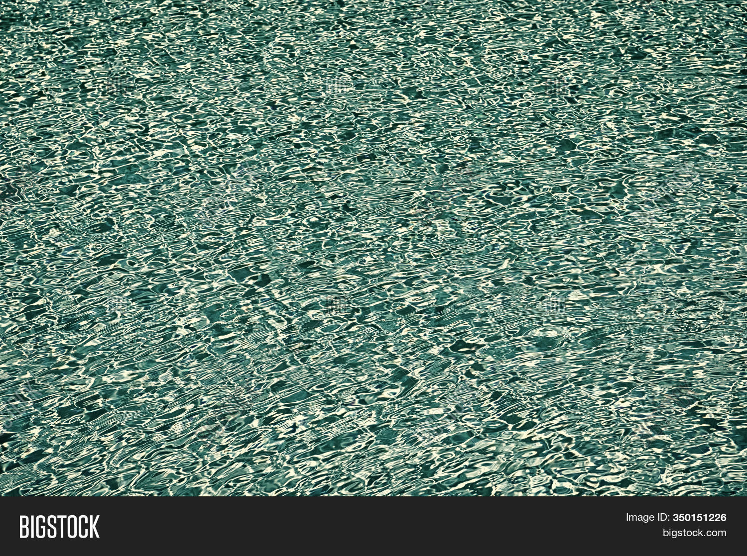 Poolside Fun. Swim Image & Photo (Free Trial) | Bigstock