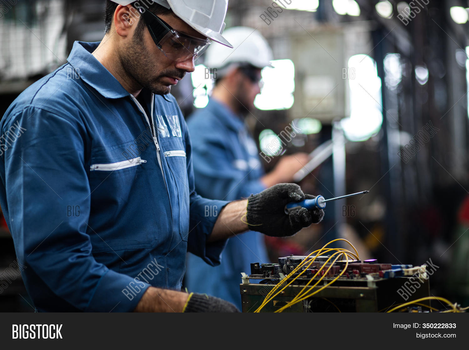 Closeup Side View Image & Photo (Free Trial) | Bigstock