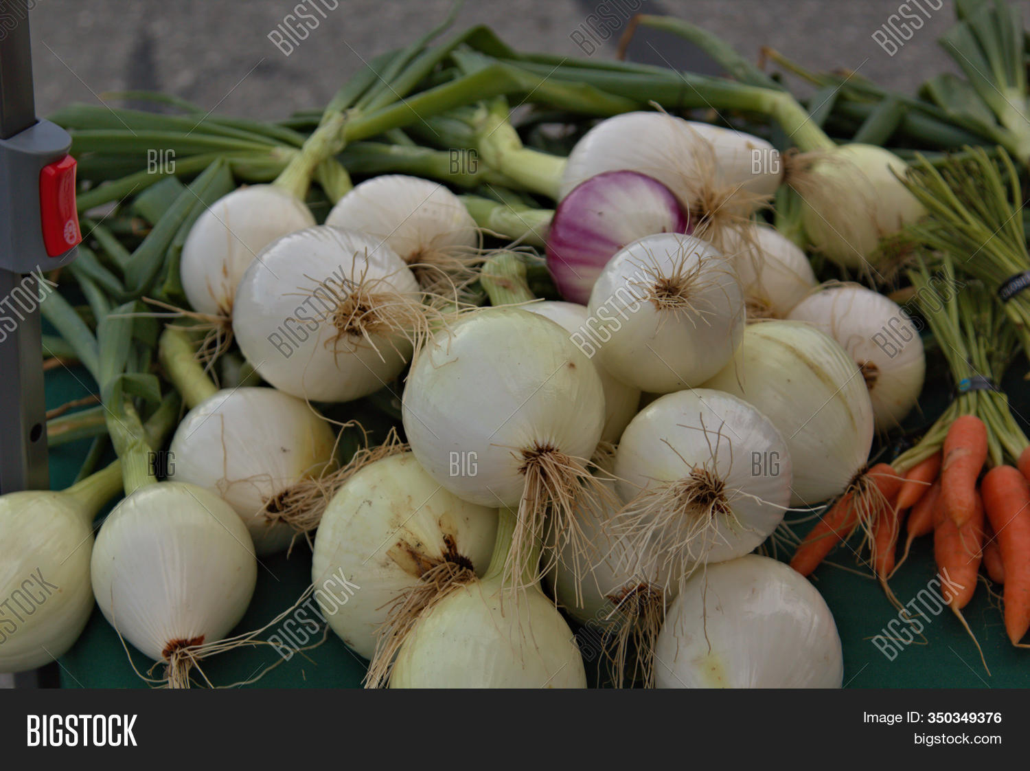 Alaska Garden Produce Image & Photo (Free Trial) | Bigstock