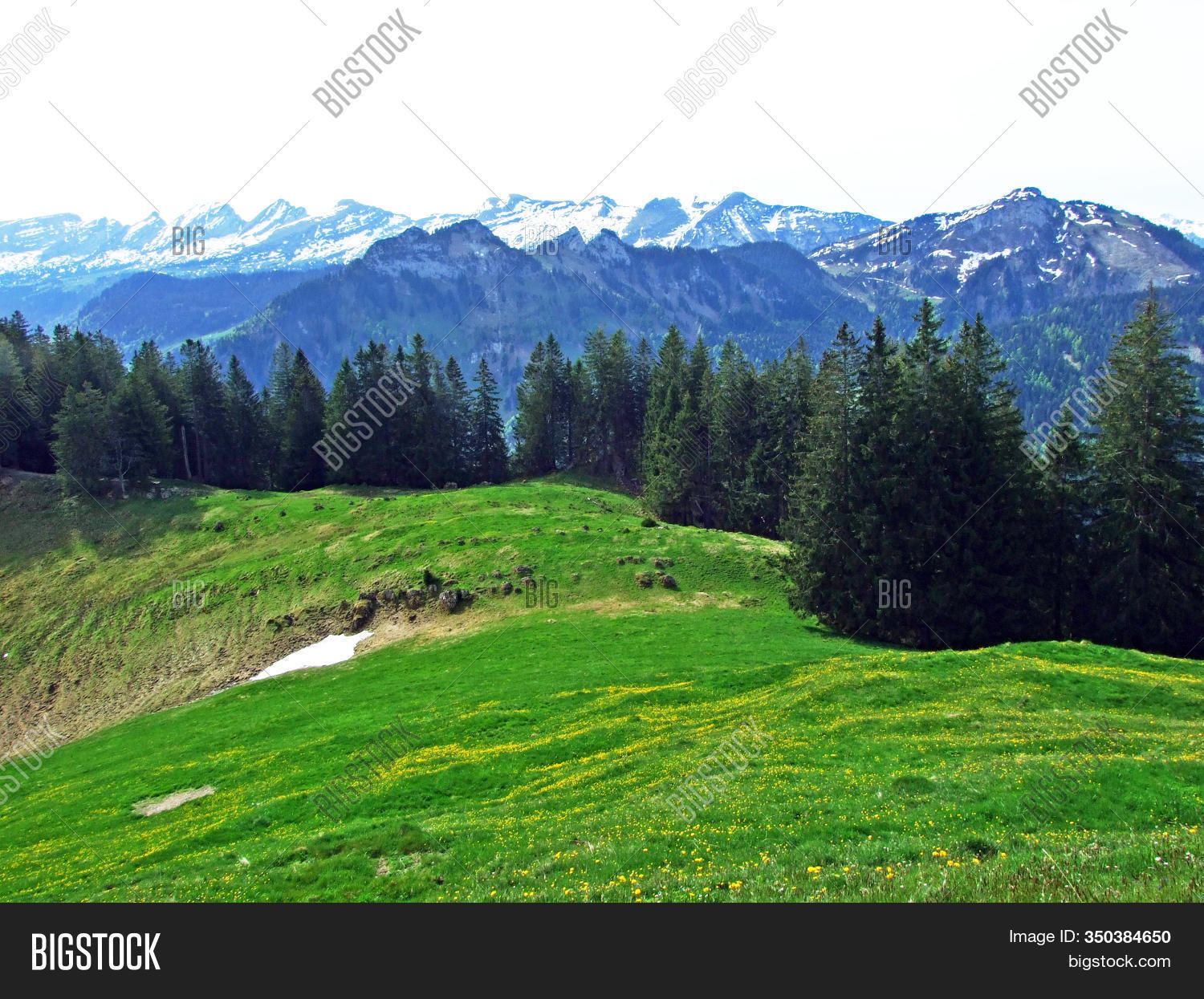Alpine Pastures Image & Photo (Free Trial) | Bigstock
