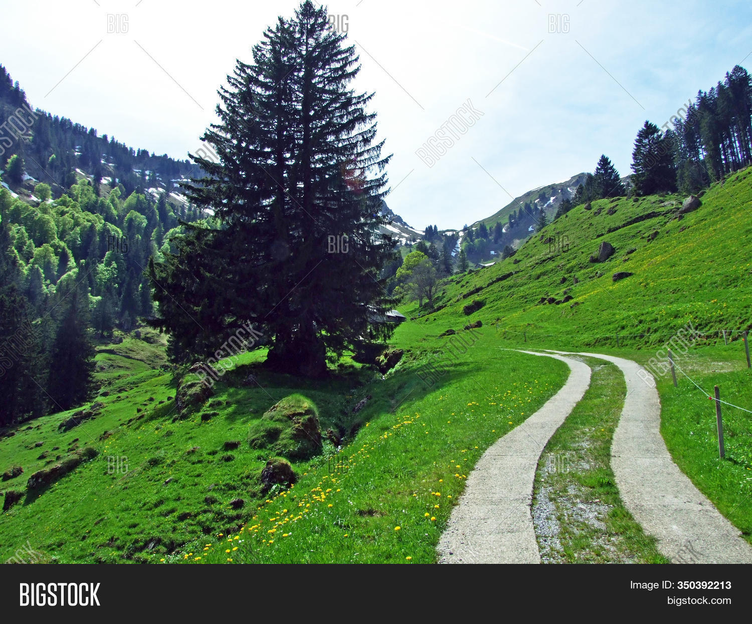 Walking Marked Trails Image & Photo (Free Trial) | Bigstock