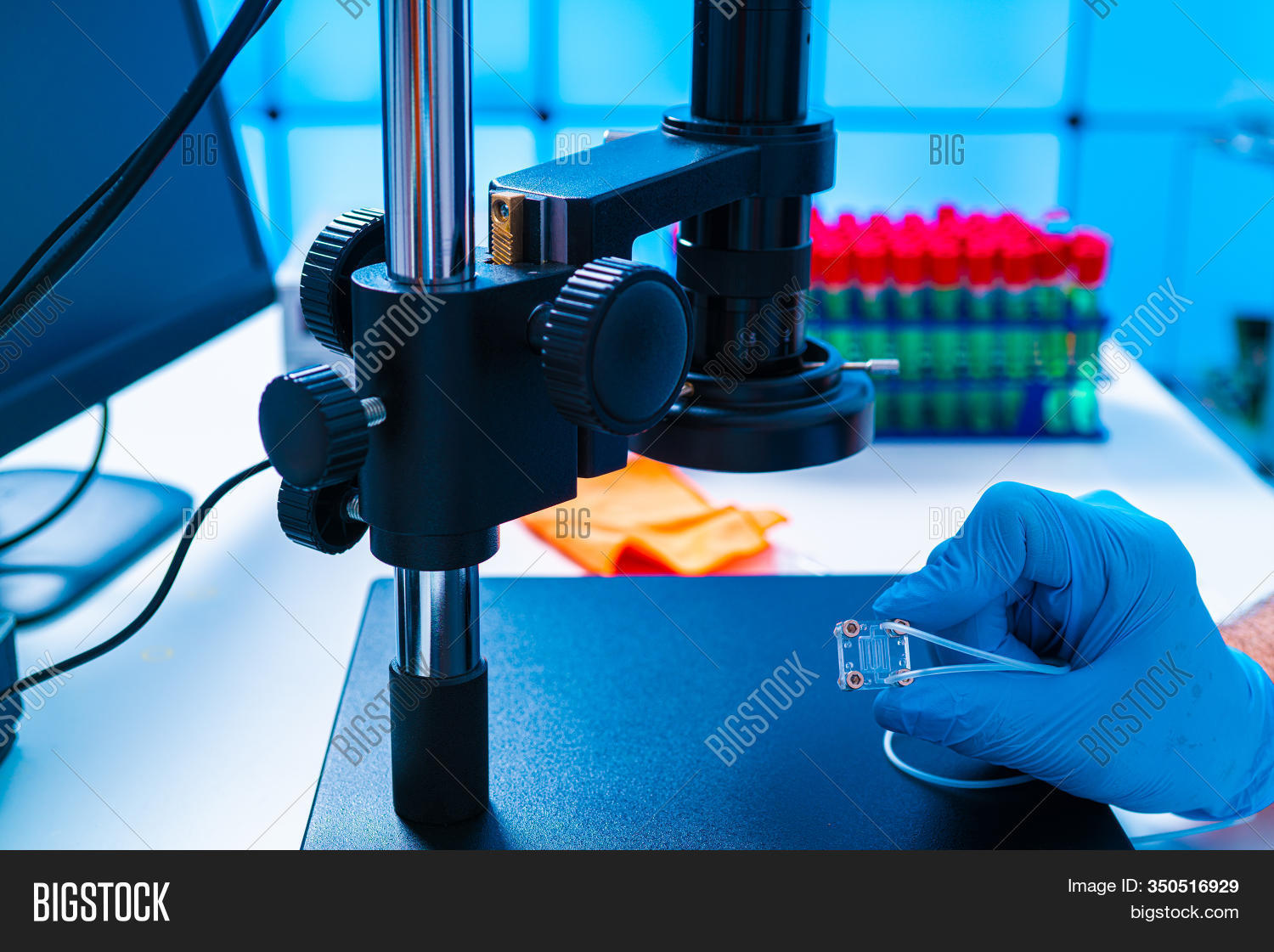 Design Development Lab Image & Photo (Free Trial) | Bigstock