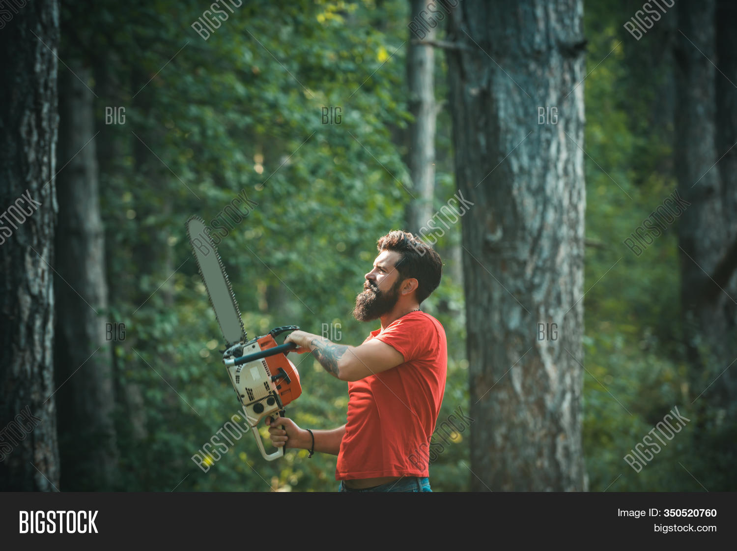 Lumberjack Woods Image & Photo (Free Trial) | Bigstock