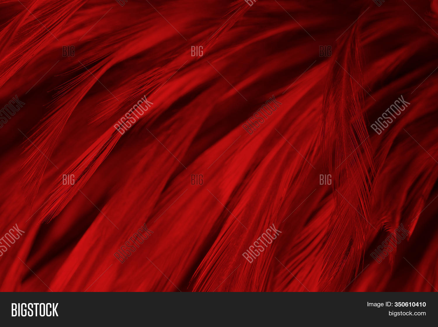 Beautiful Dark Red Image & Photo (Free Trial) | Bigstock
