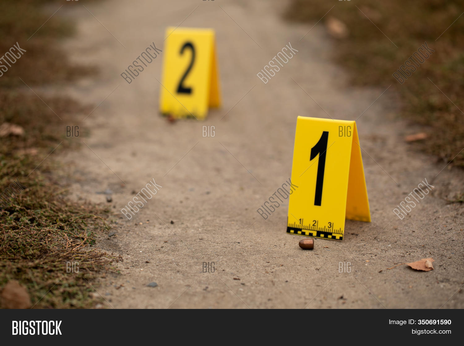 Crime Scene Yellow Image & Photo (Free Trial) | Bigstock