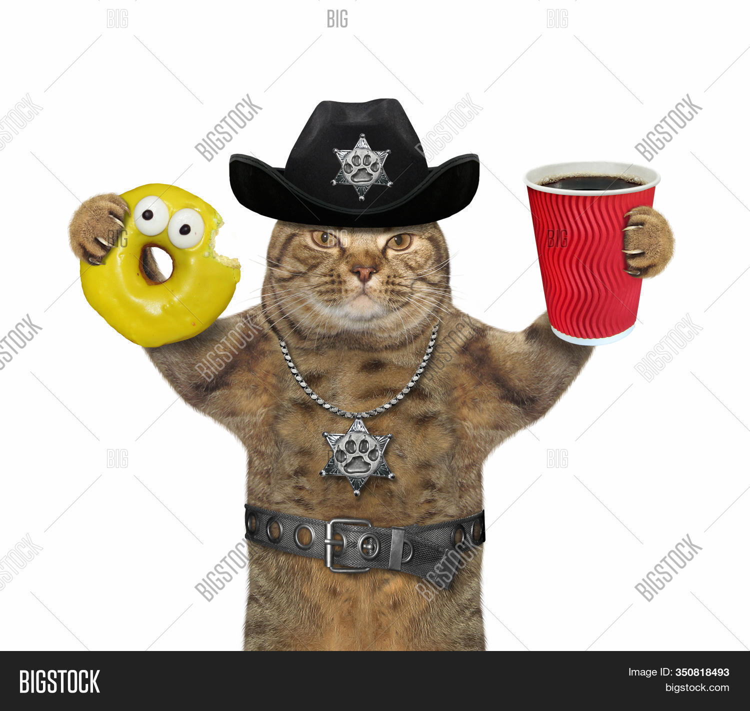 Beige Cat Policeman Image & Photo (Free Trial) | Bigstock