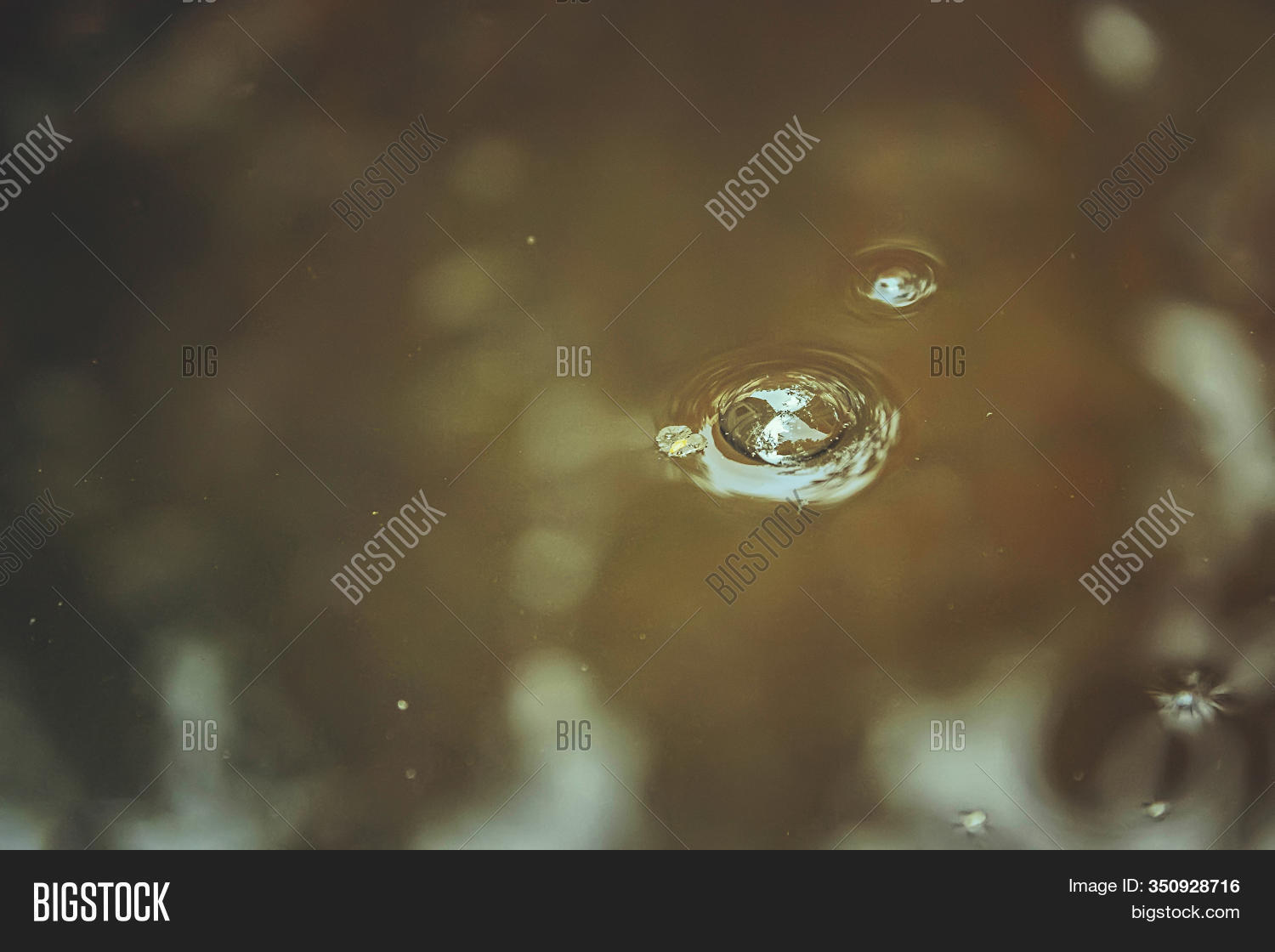 Bubble Muddy Puddle Image & Photo (Free Trial) | Bigstock