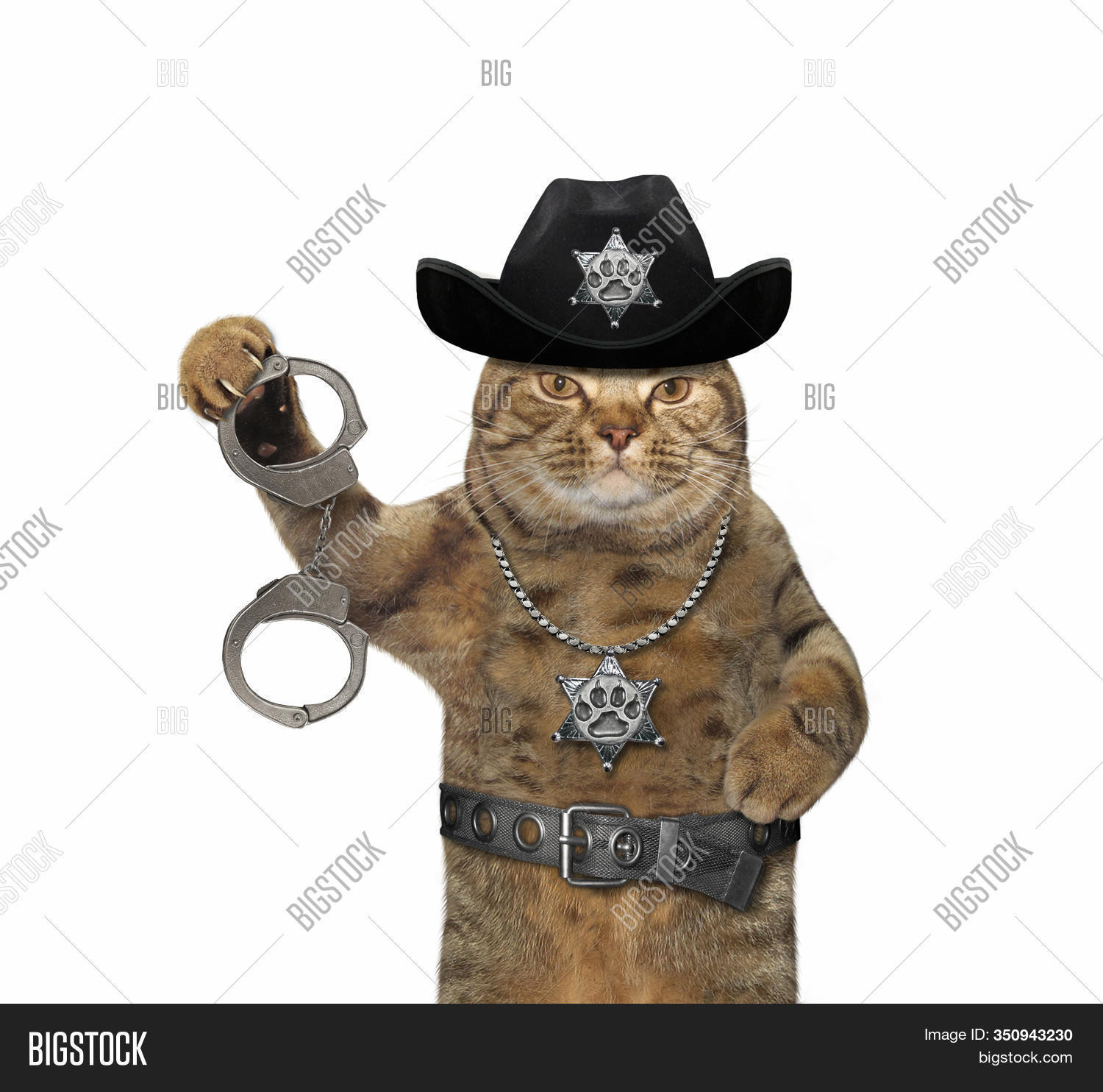 Beige Cat Policeman Image & Photo (Free Trial) | Bigstock