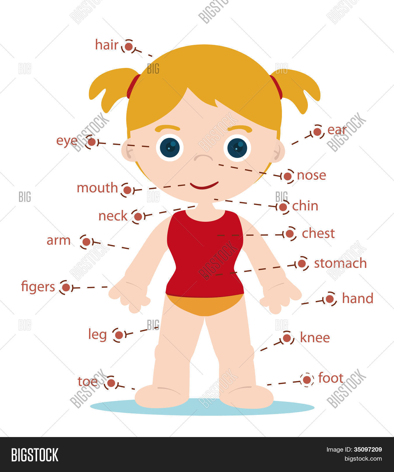 Girl Body Parts Vector & Photo (Free Trial) | Bigstock